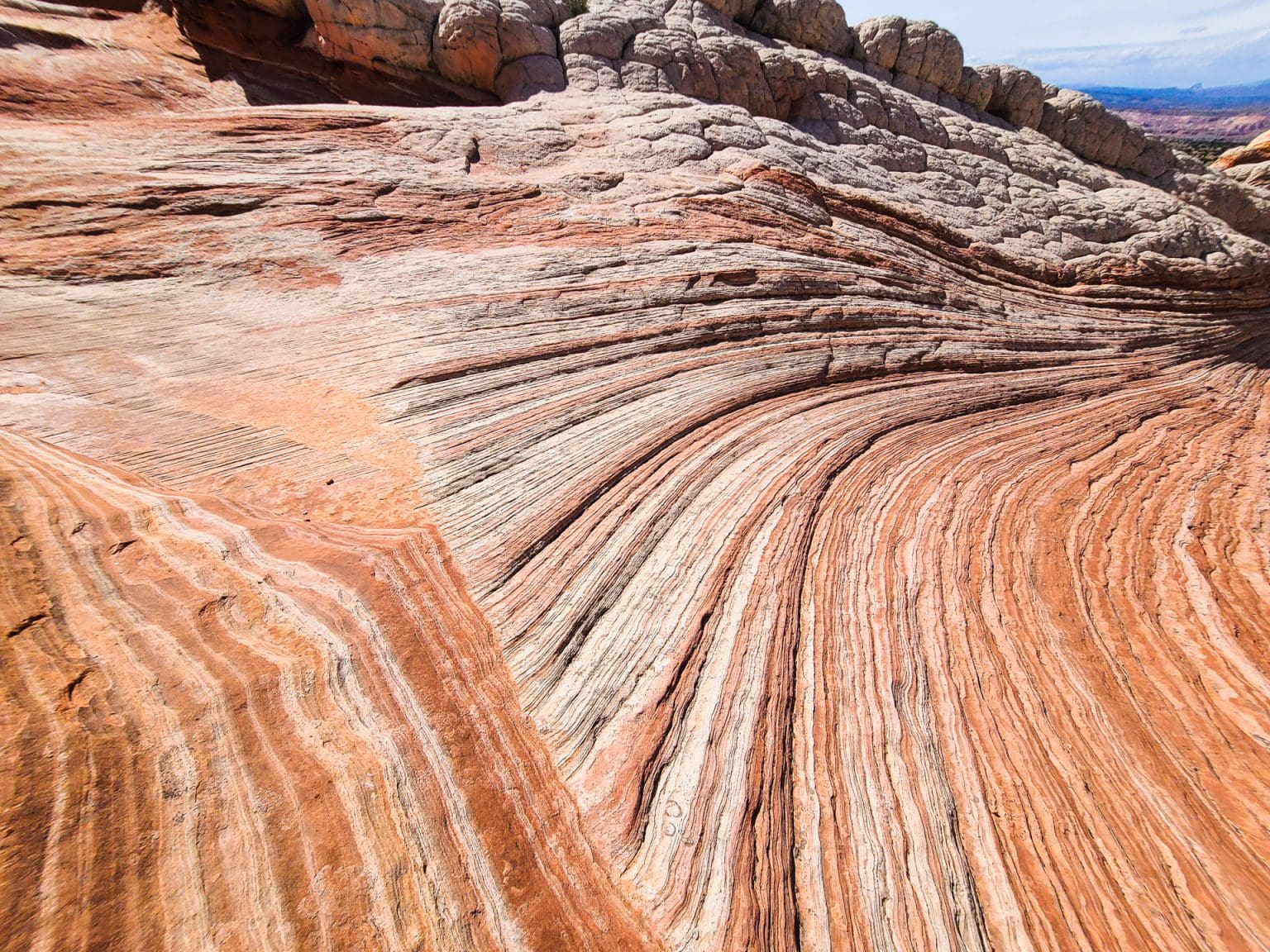 White Pocket - American Adventure Lab